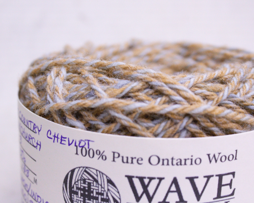 3 Ply - 736 YPP - 10203 - Variegated Coreopsis & Indigo - Wave Fibre Mill